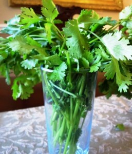 Cilantro - My Colombian Recipes